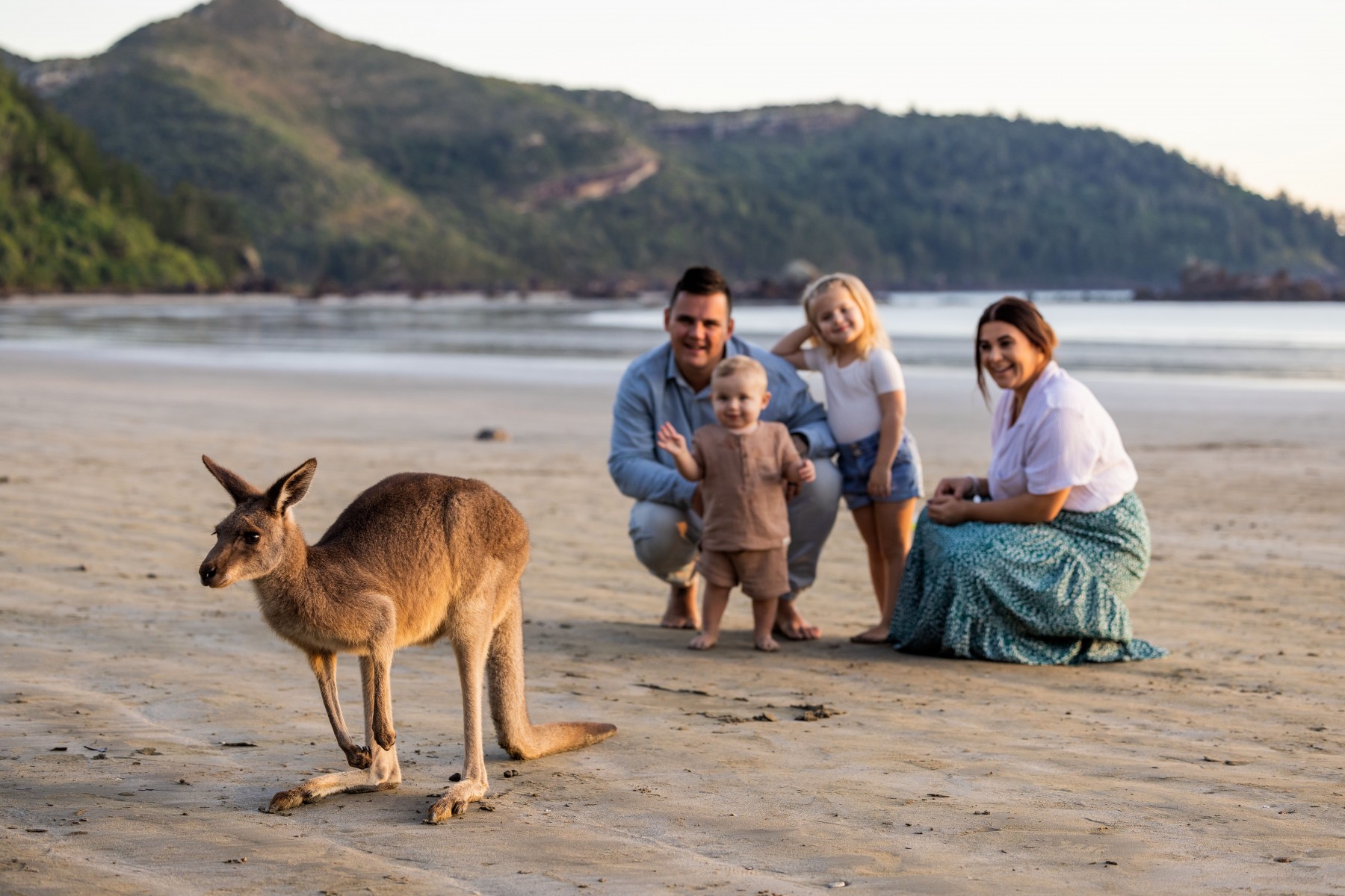 ibis Mackay Hotel - What to do in Mackay