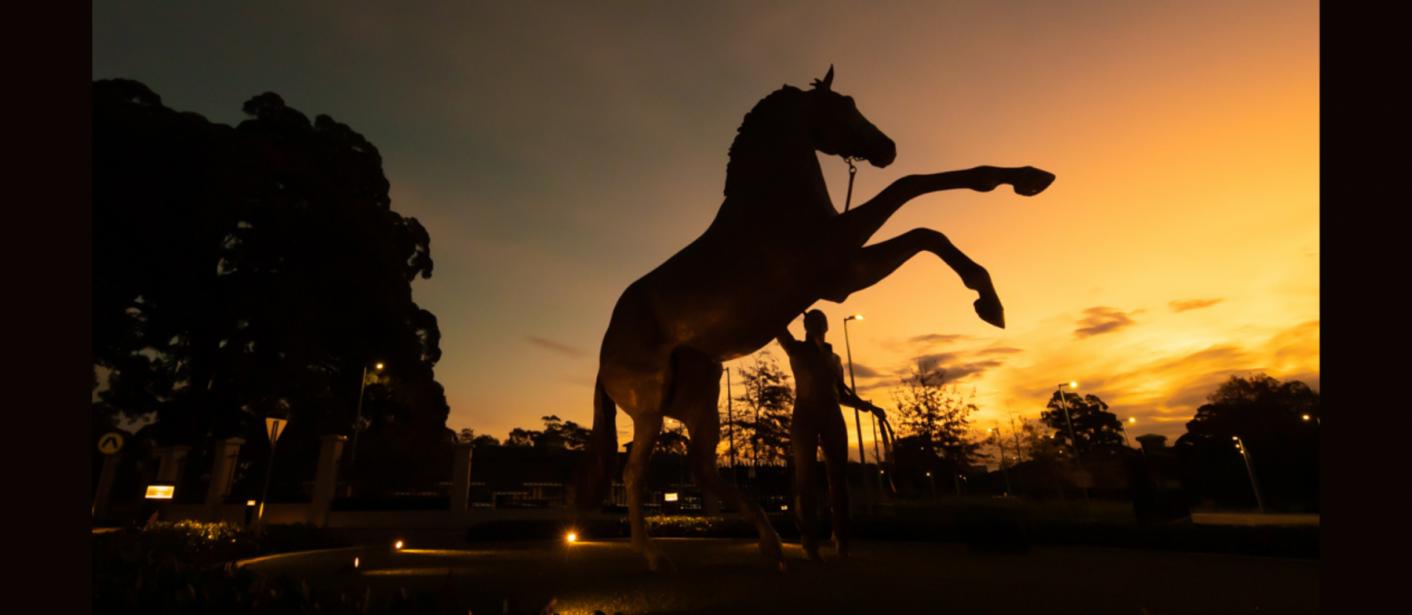 The William Inglis Hotel - The Yearling Story