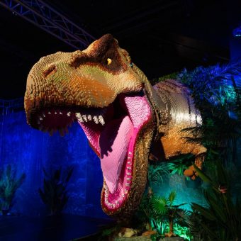 Mercure Perth - Jurassic World by Brickman® Accommodation Package