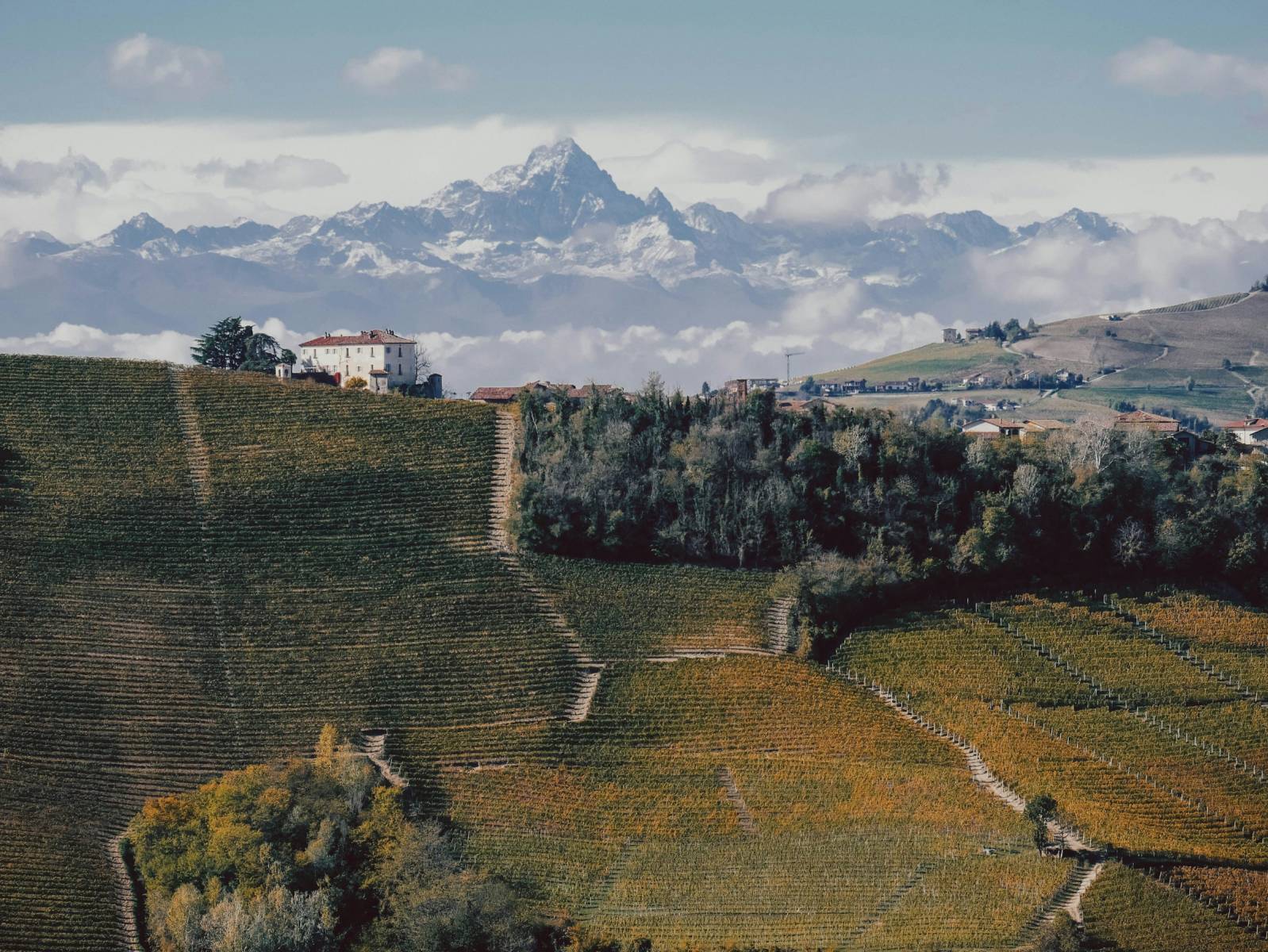 A Piemonte Wine Dinner at Prego - Prego Restaurant