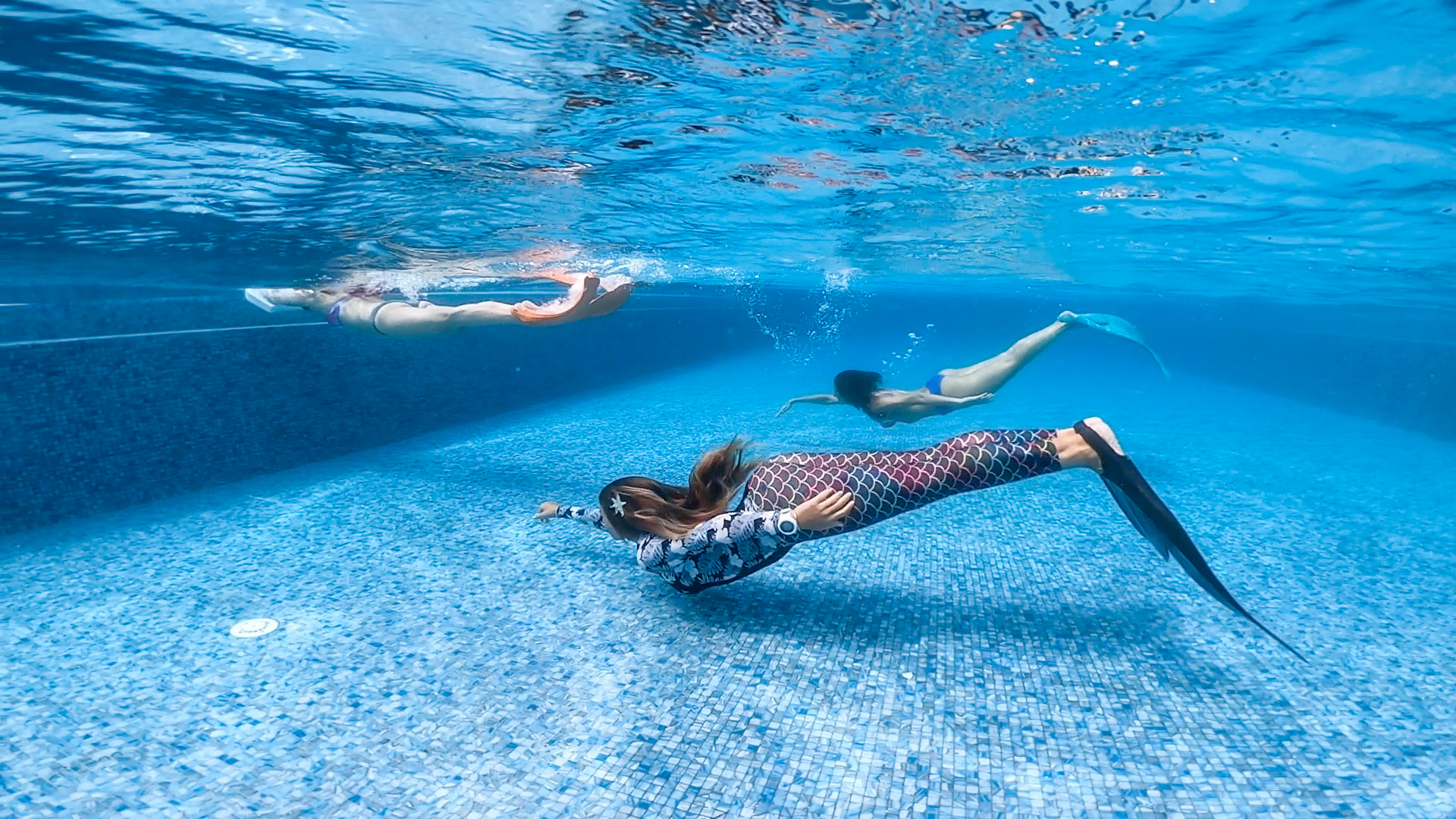 Pullman Maldives Maamutaa - Marine biologist new