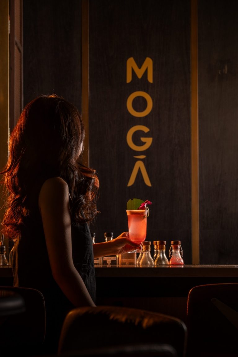 Singapore Hotel Japanese Izakaya Bar | MOGA at Pullman Hill Street ...