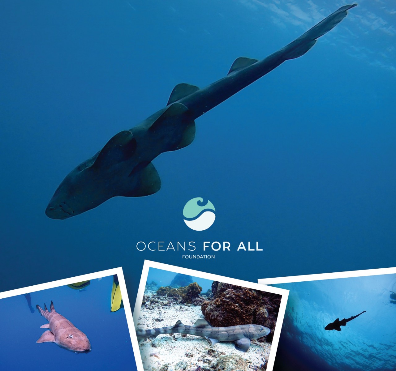 Pullman Phuket Panwa Beach Resort - PULLMAN MARINE LIFE