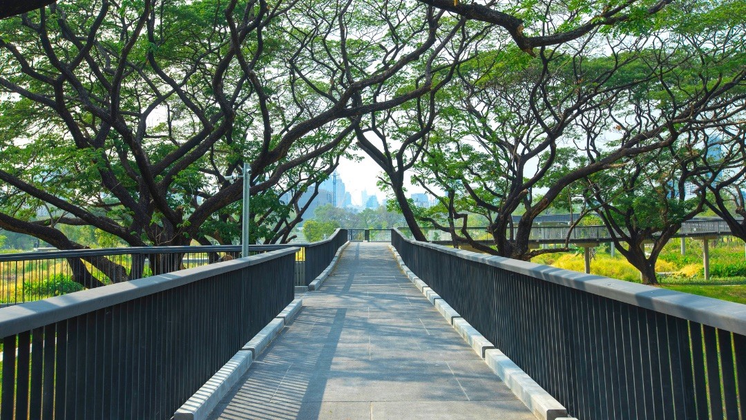 Benjakitti Park | Novotel Bangkok Platinum Pratunam