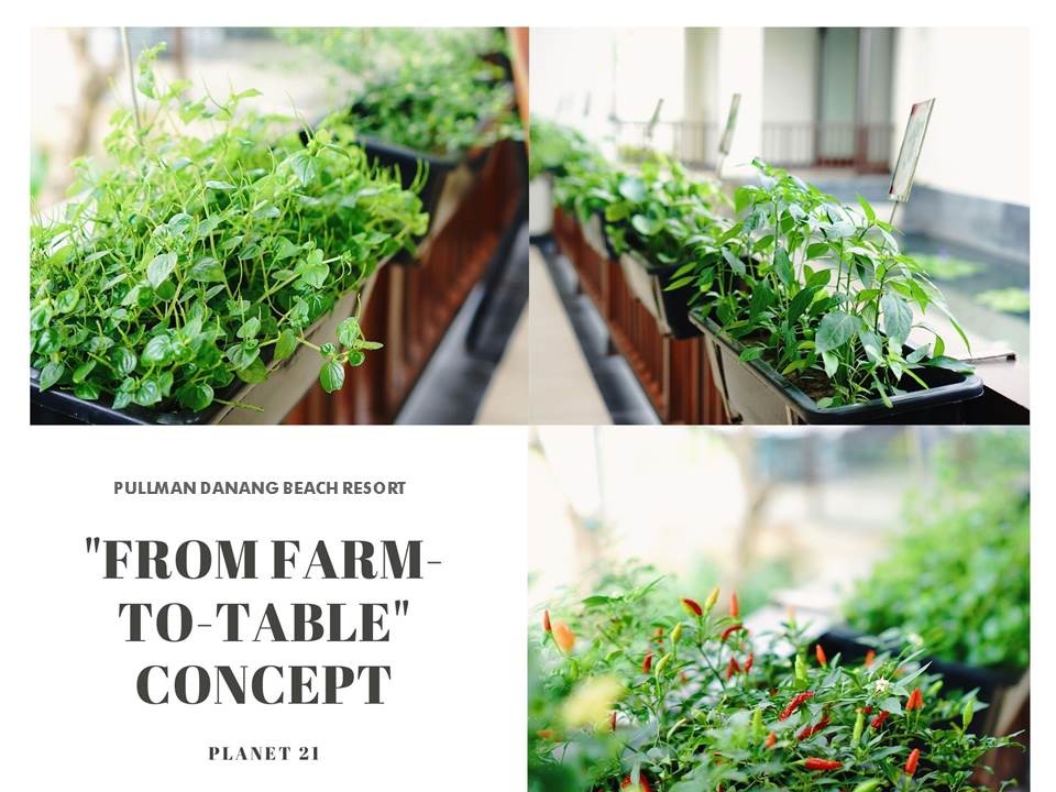 Pullman Danang Beach Resort