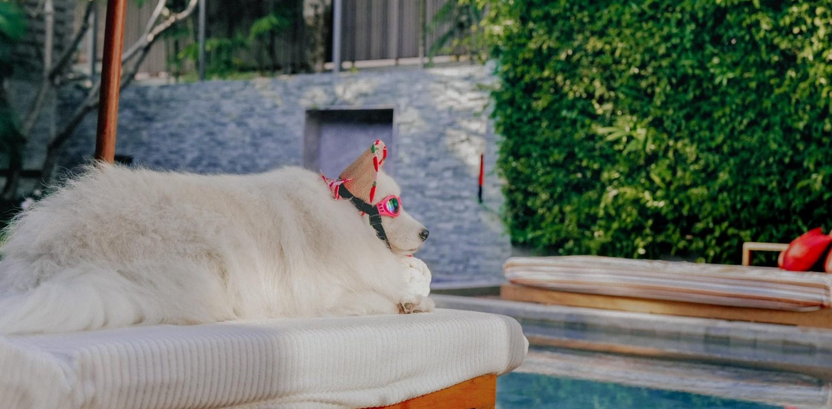 V Villas Hua Hin MGallery Collection - Dog-Friendly Hotel